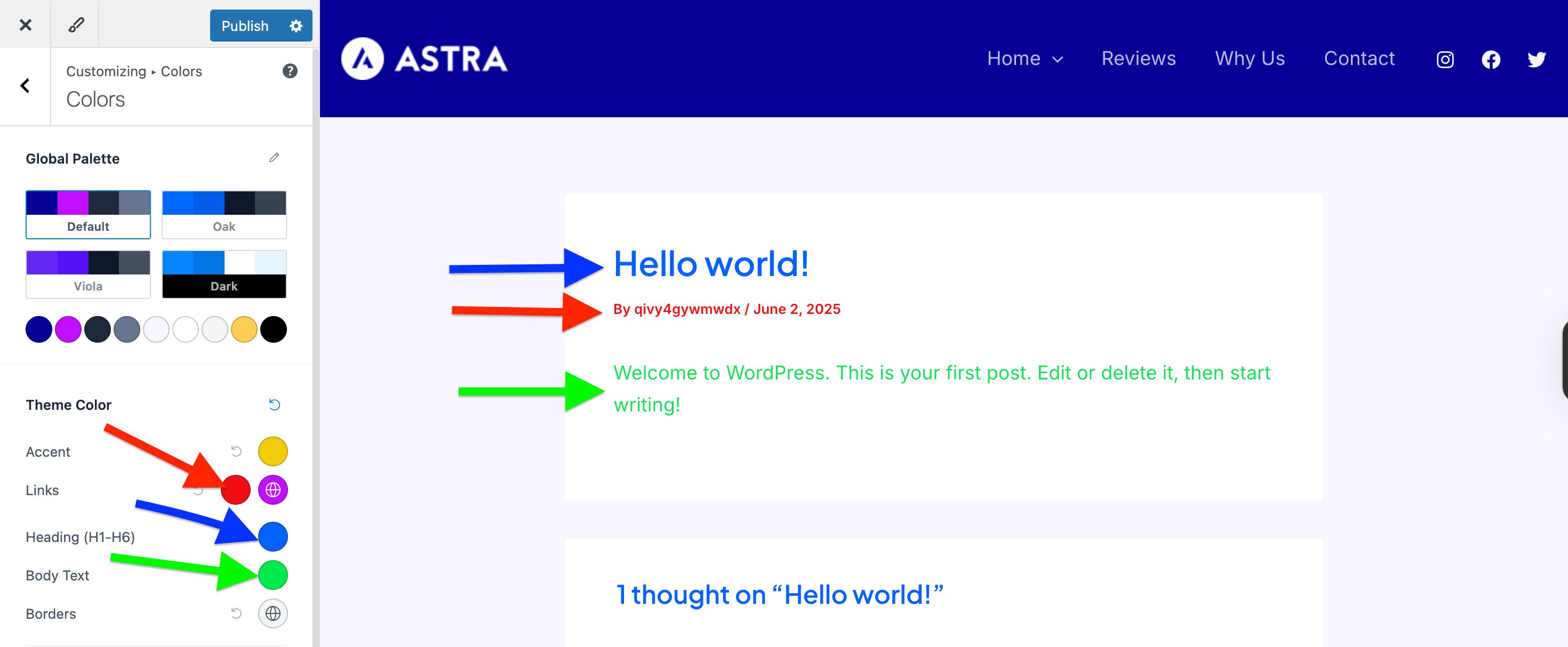 Global Color and Background Options in Astra Theme