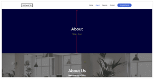 How to Design Attractive Page Headers with Astra?