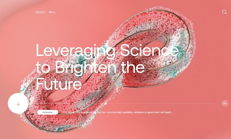 8 KEY web design principles and examples [Our Secret]