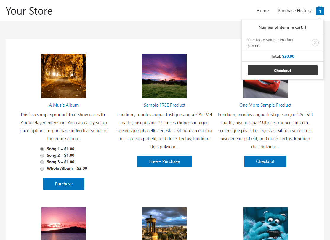 WordPress Easy Digital Downloads tutorial for store owners