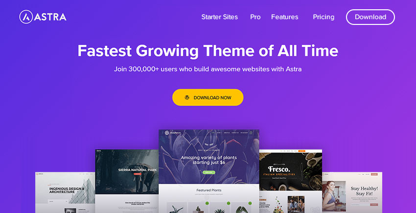 Astra Brand Assets | Get Our Logo, Banners & Media Kit