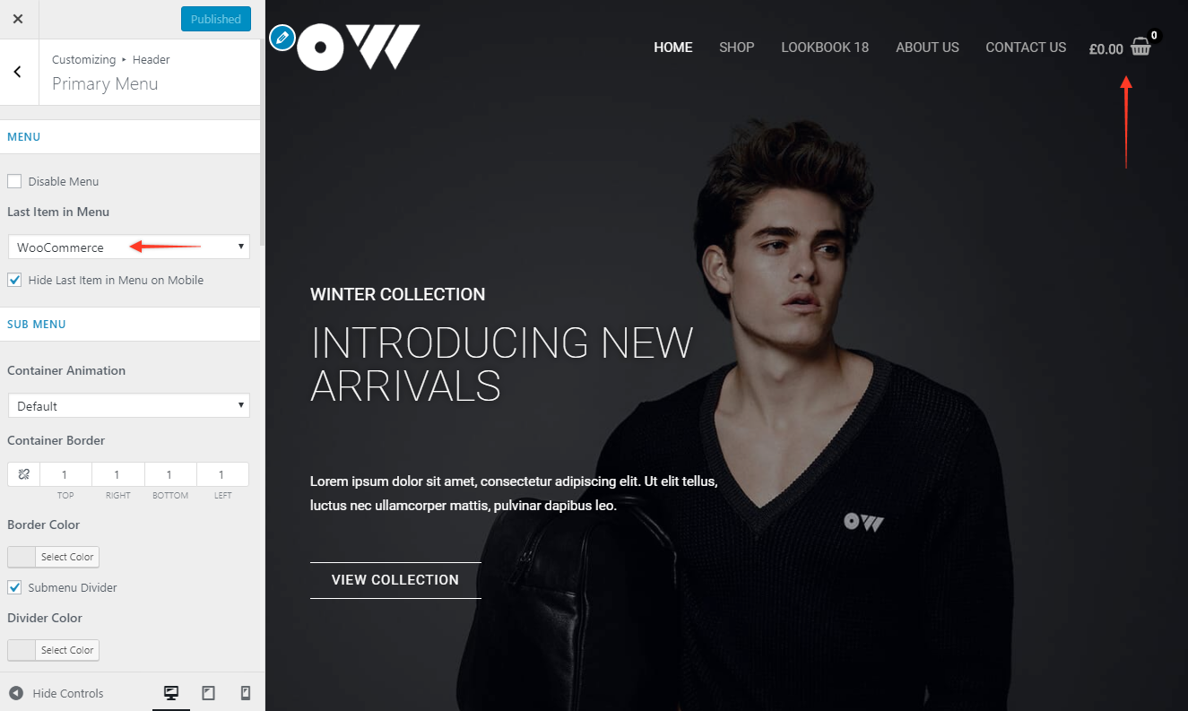How to Add WooCommerce Mini Cart in Header?