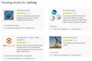 WordPress Caching: Ultimate Guide for the Beginners