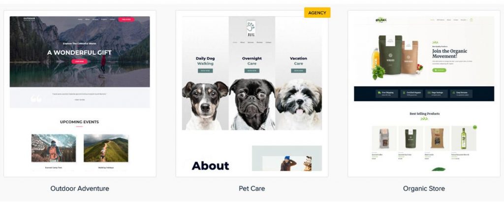 16 Best Elementor Themes (Free With Extra Options)