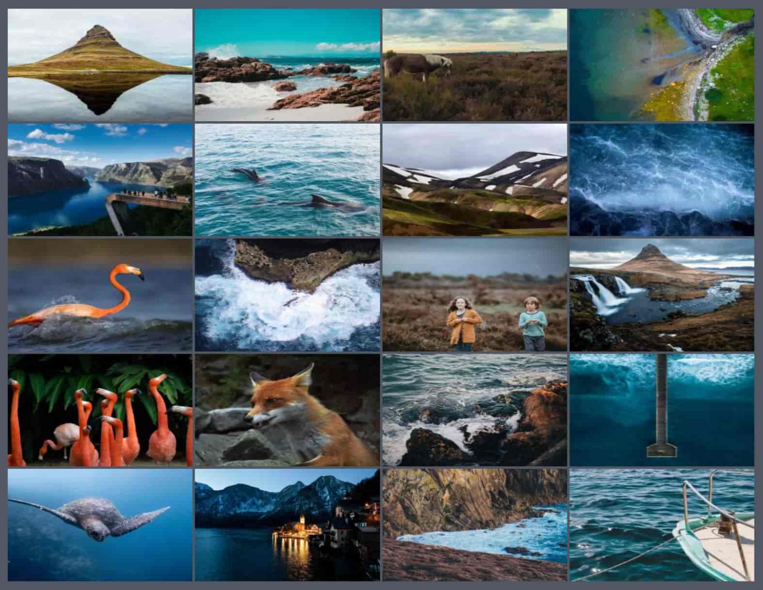 15 Best WordPress photo gallery plugins – Free and premium