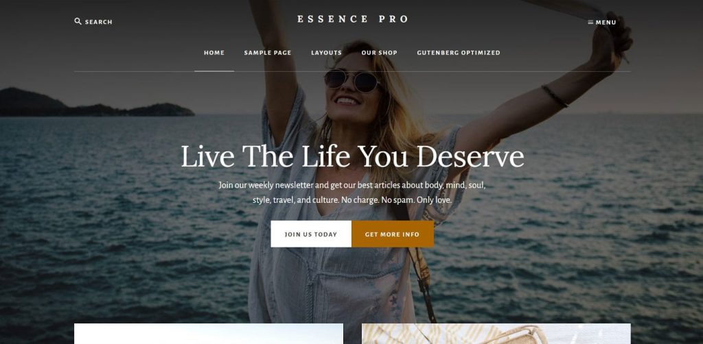 48 Bestselling Multipurpose Themes for WordPress 2022