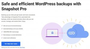 29 Essential WordPress Multisite Plugins (2022)