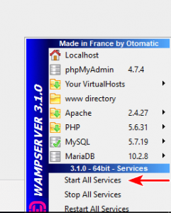 How to Install WordPress Locally on Windows Using WAMP