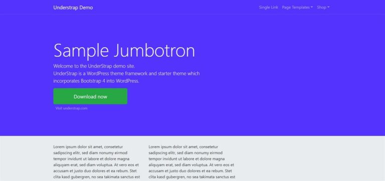 21 Best WordPress Starter Themes in 2023 (With Quality Code)