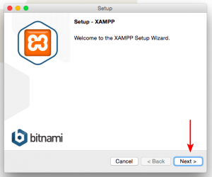 How to install WordPress on XAMPP – Local sites made easy