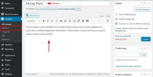 WordPress WooCommerce tutorial – 14 step store setup guide