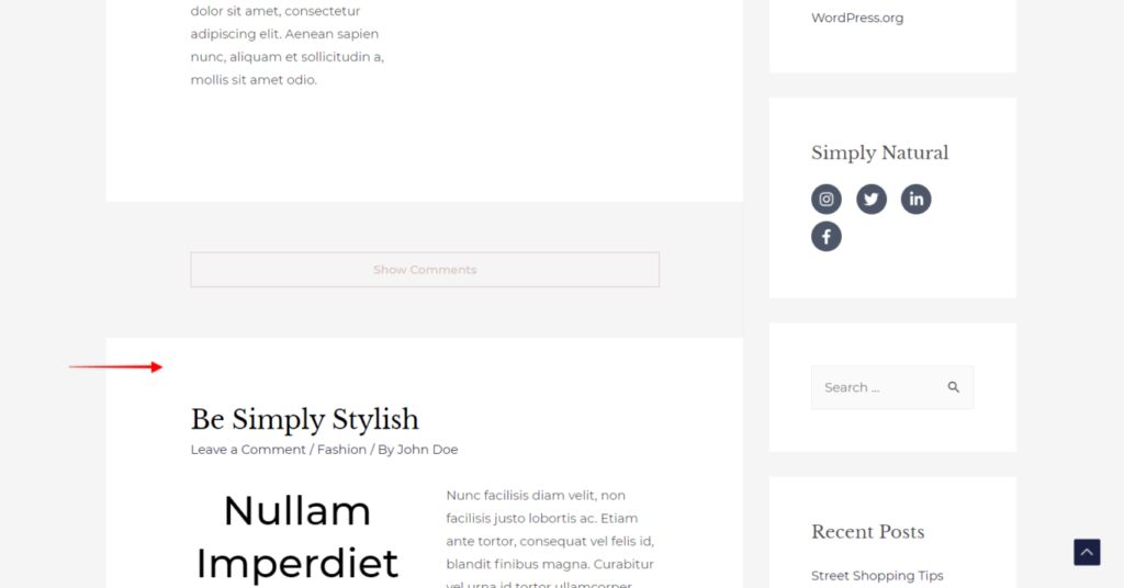How to Design a Single Blog Page Using Blog Pro Module of Astra?