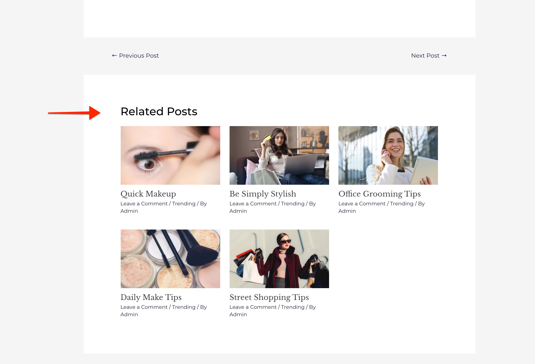 Display Related Posts on Single Blog Post