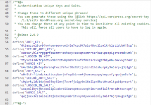 The Beginner’s Guide to Editing the wp-config File in WordPress