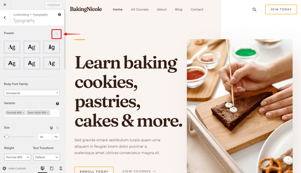 Astra Typography Presets