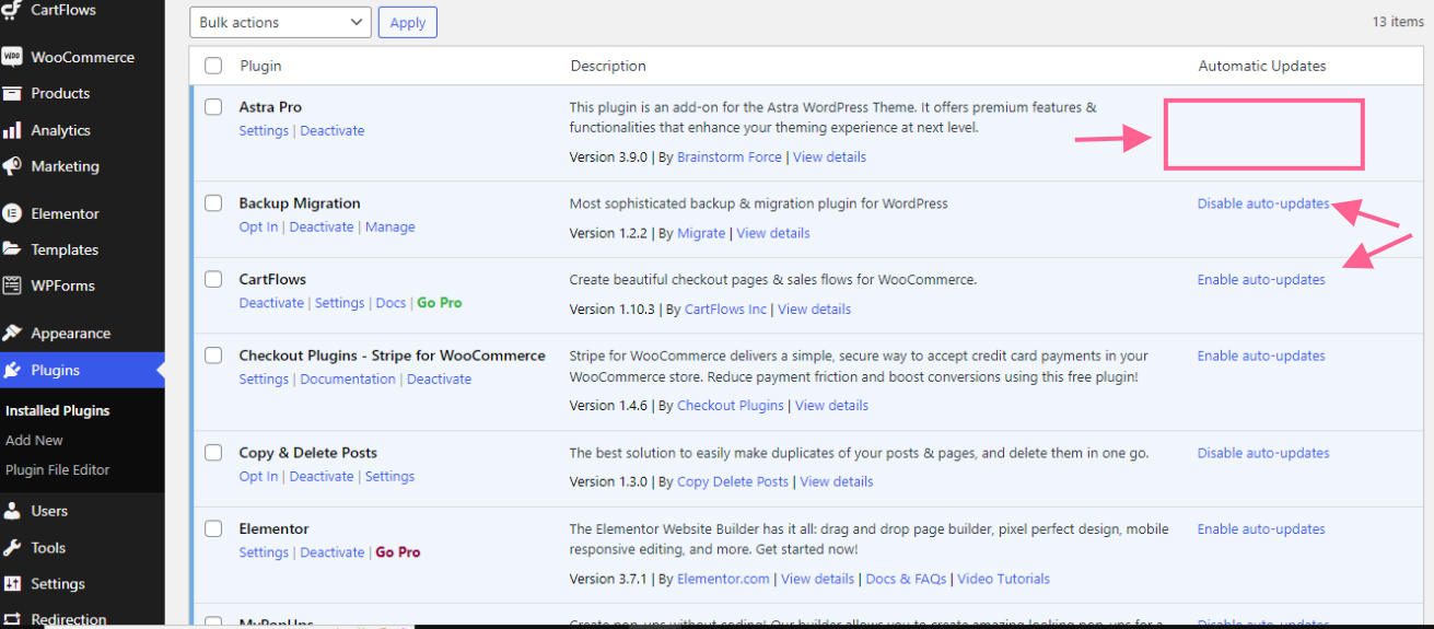 Auto Update Plugin Support