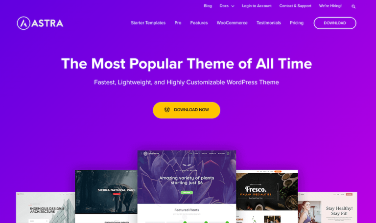 Discover the Most Beautiful WordPress Themes for Your Site