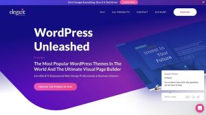 21 Highly customizable WordPress themes of 2023