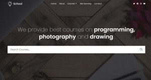 15 best wiki WordPress themes for your knowledge base website
