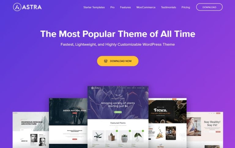 Most popular and expert picked WordPress library themes