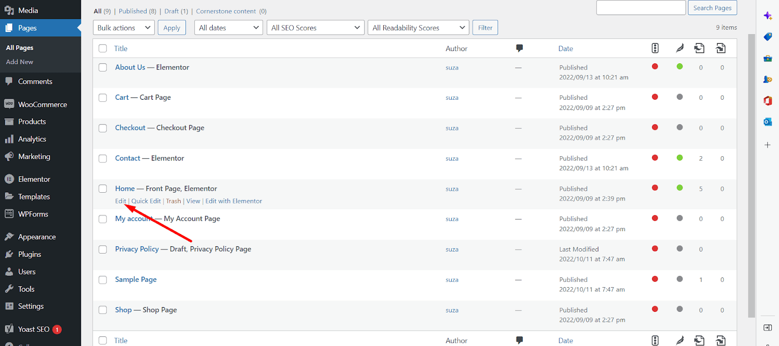 Keywords & Meta Descriptions in WordPress - Beginner’s Guide