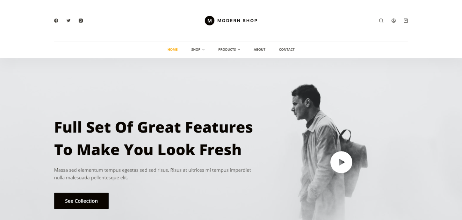Top 40 BEST FREE eCommerce WordPress themes for your store