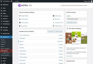 Meet Astra 4.0 a completely new design to improve your UX