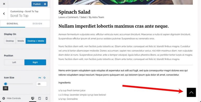 Meet Astra 4.0 a completely new design to improve your UX
