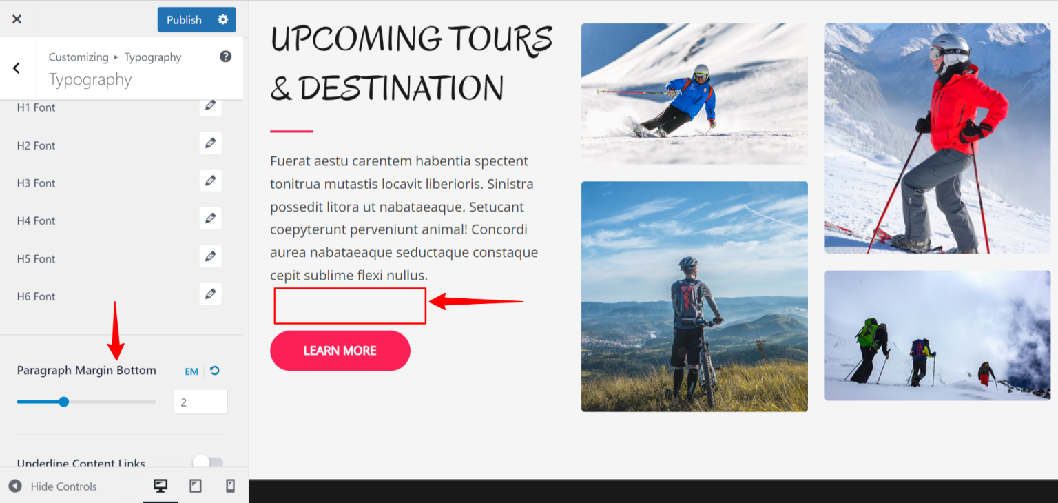 Global Typography Options in the Astra Theme