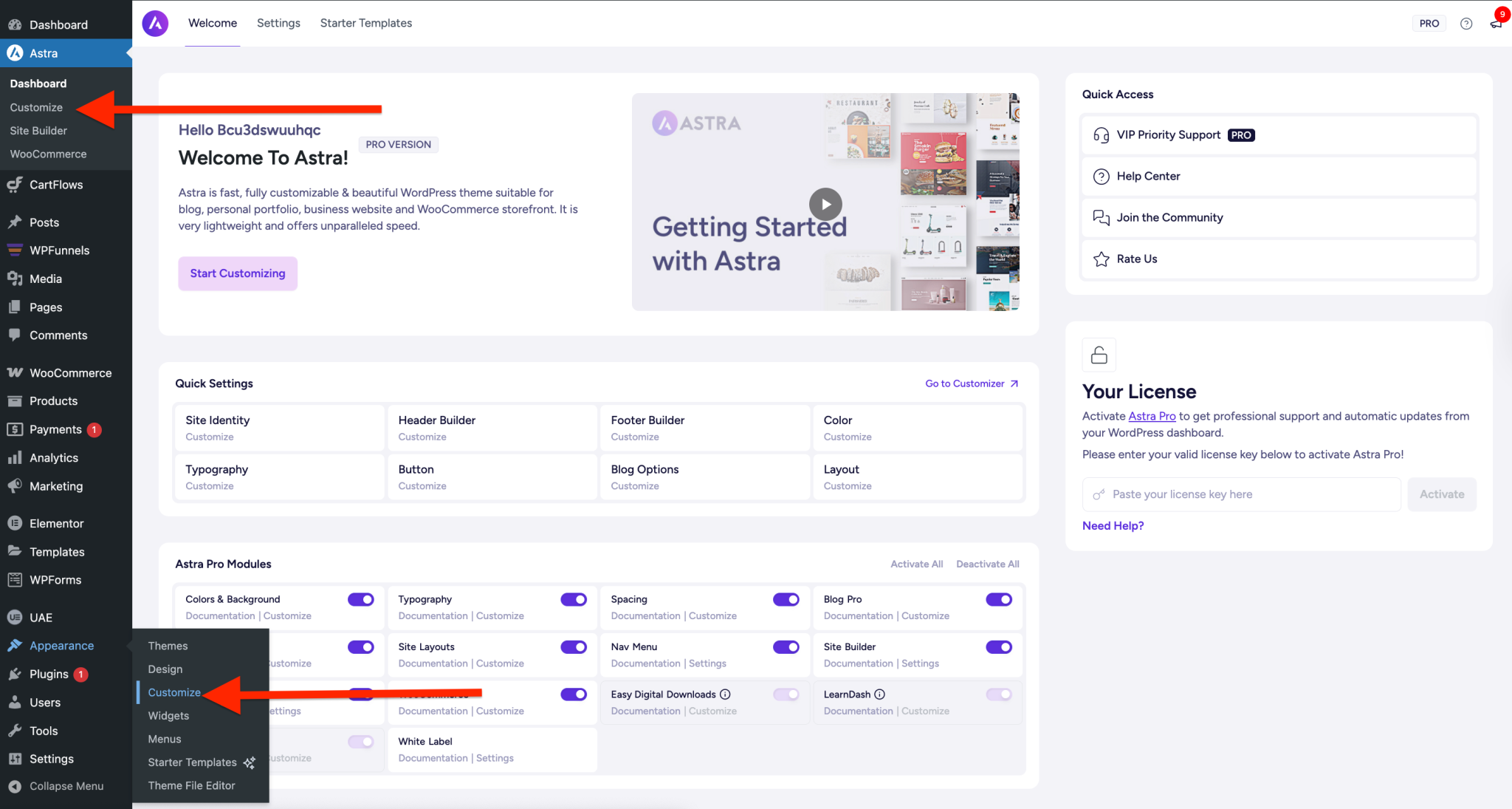 Getting Started with the Astra Customizer