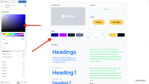 Getting Started with the Astra Customizer